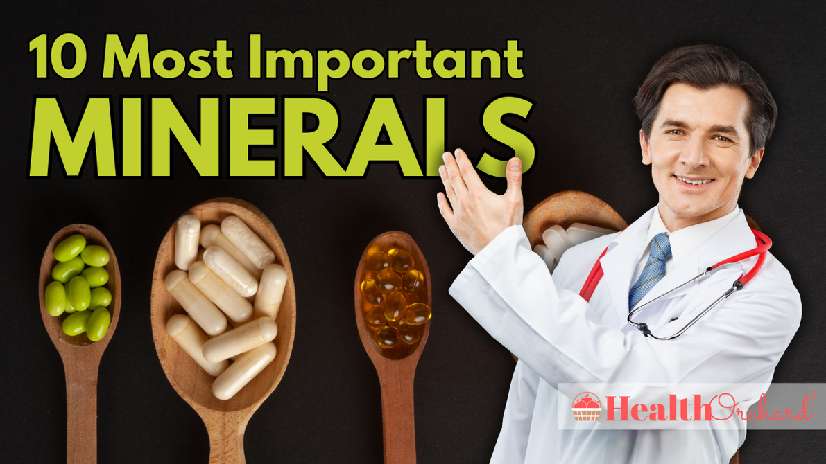 10 Most Important Minerals for the Body | Health Orchard