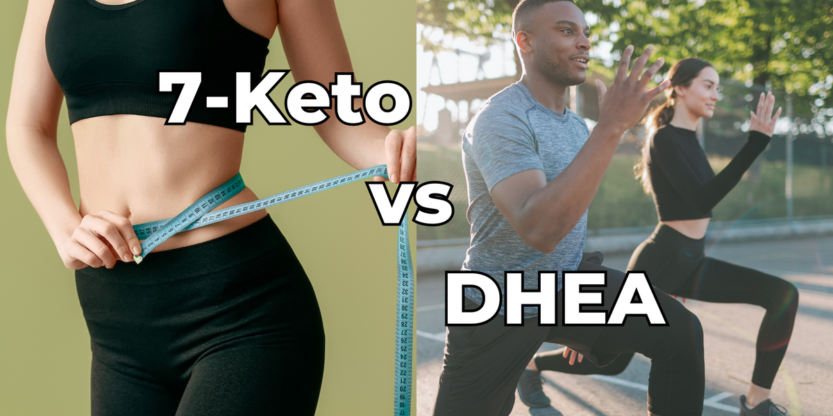 7-Keto vs DHEA Explained | Health Orchard