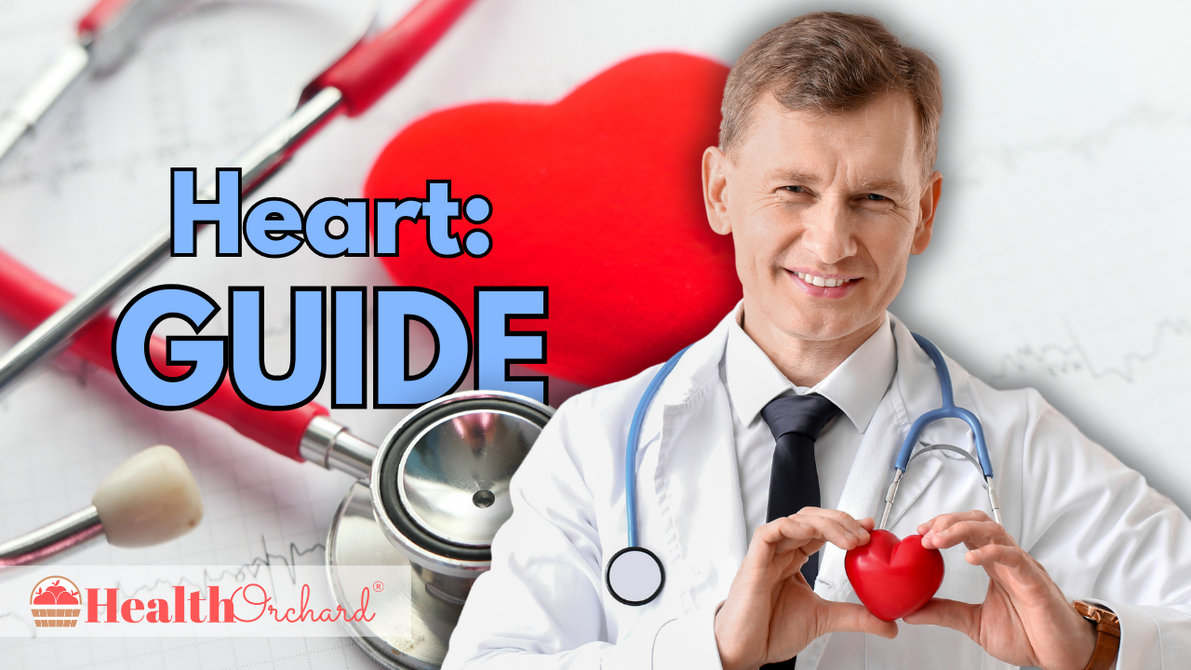 Heart: Guide | Health Orchard