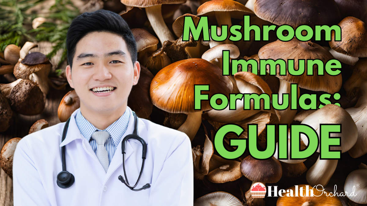 Mushroom Immune Formulas: Guide | Health Orchard