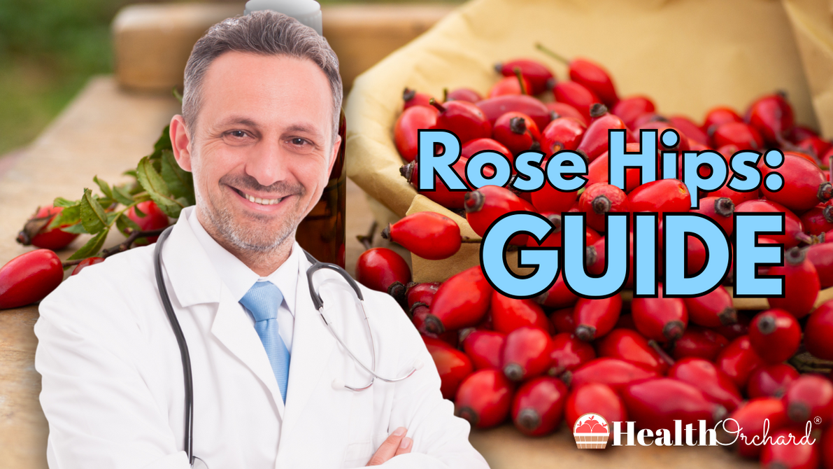 Rose Hips: Guide | Health Orchard